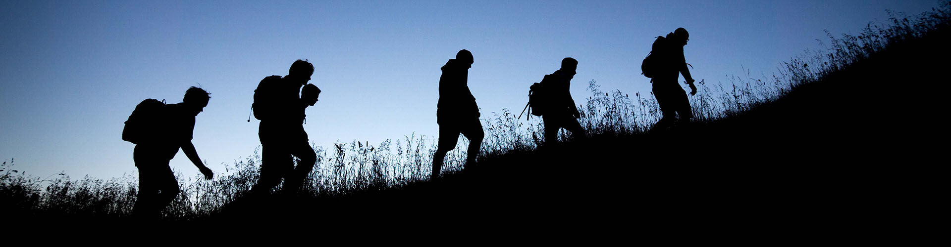 Zoweh Allies | Zoweh