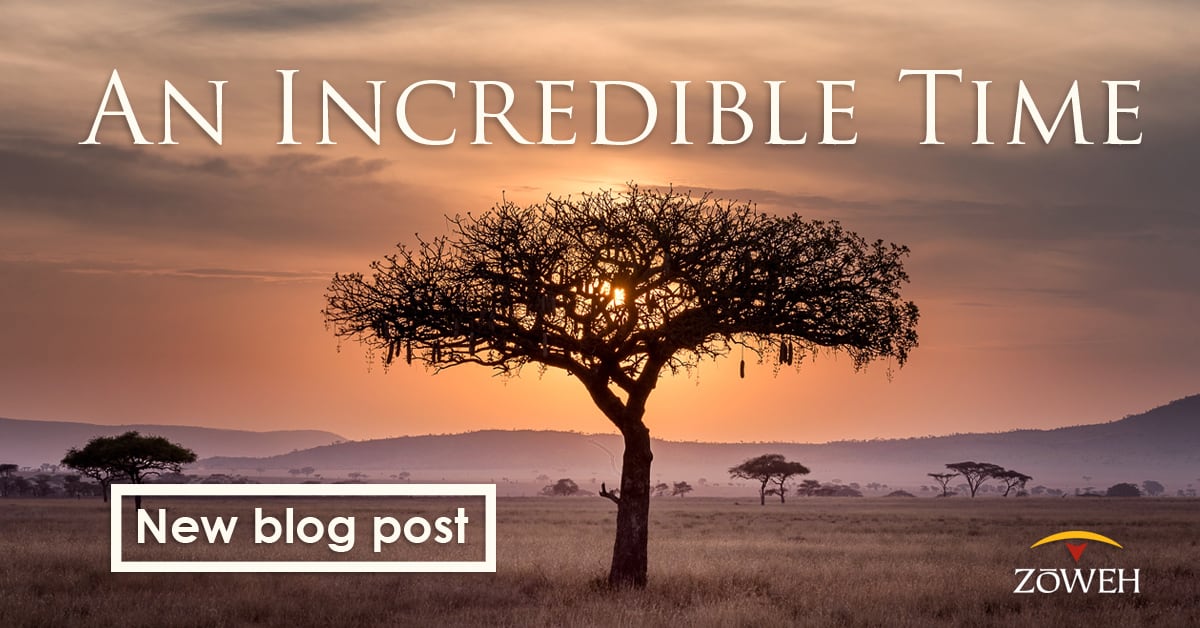 An Incredible Time | Zoweh