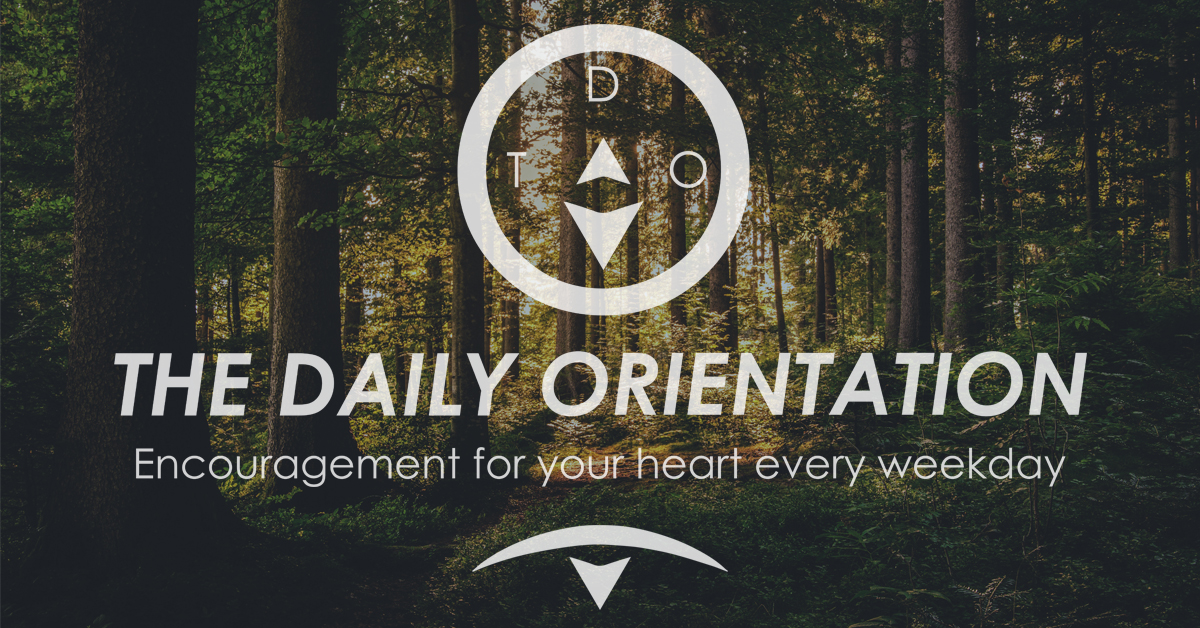 The Daily Orientation | Zoweh